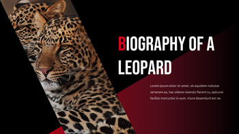 Leopard Business Presentations|Lifestyle|PPT Templates