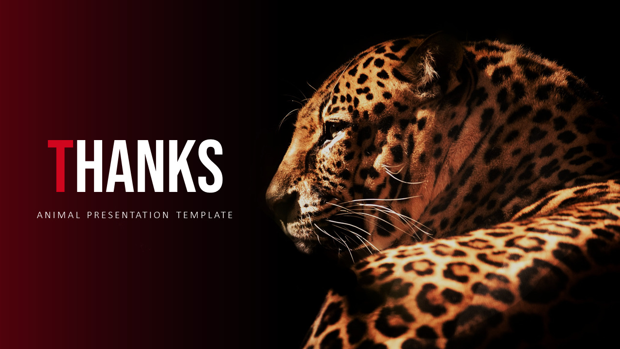 Leopard Business Presentations|Lifestyle|PPT Templates