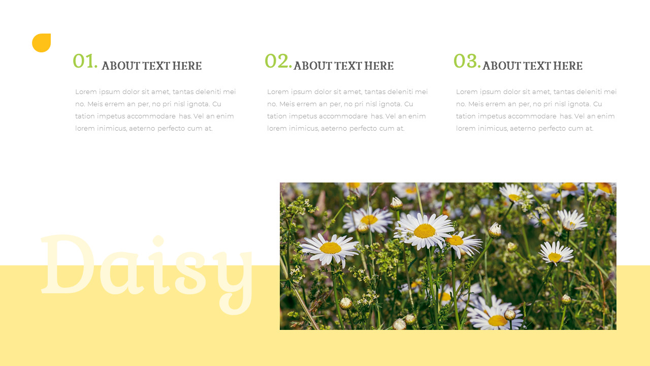 Daisy company profile ppt template|Lifestyle|Google Slides