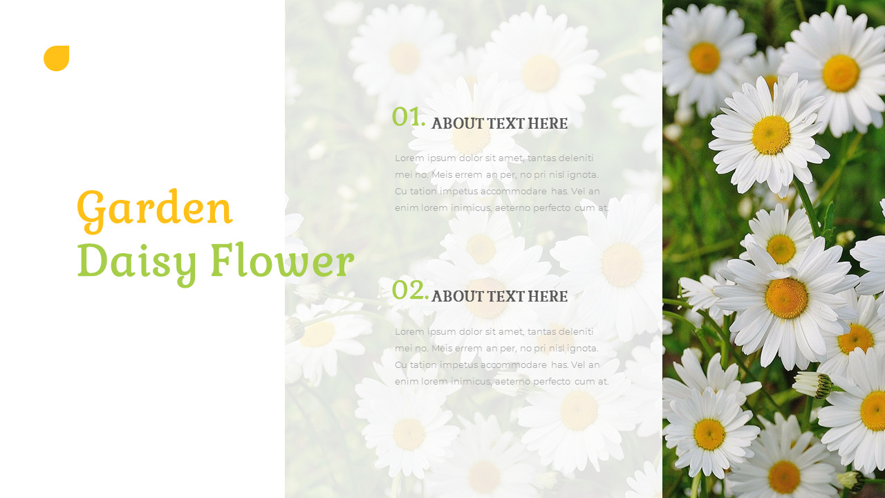 Daisy company profile ppt template|Lifestyle|Google Slides