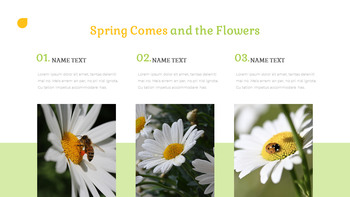 Daisy company profile ppt template|Lifestyle|Google Slides