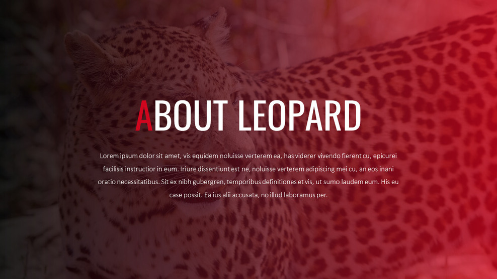 Leopard Simple Presentation Google Slides Template|Lifestyle