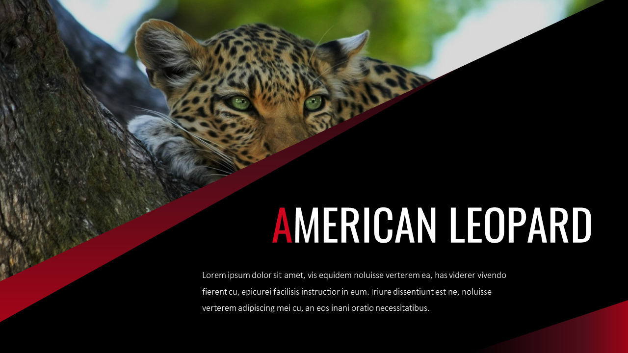 Leopard Simple Presentation Google Slides Template|Lifestyle