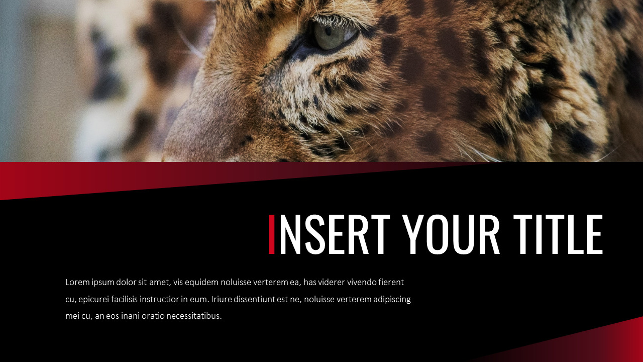 Leopard Simple Presentation Google Slides Template|Lifestyle