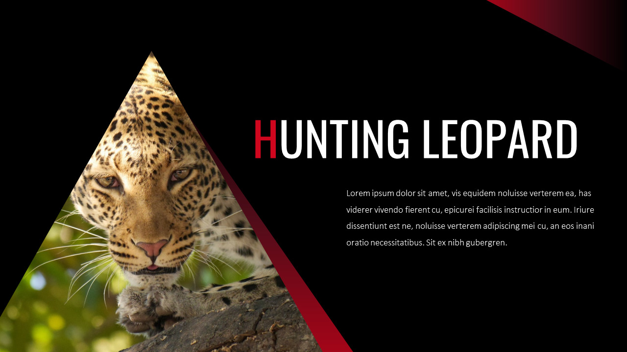 Leopard Simple Presentation Google Slides Template|Lifestyle