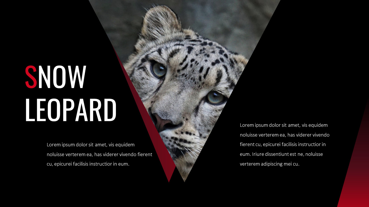 Leopard Simple Presentation Google Slides Template|Lifestyle