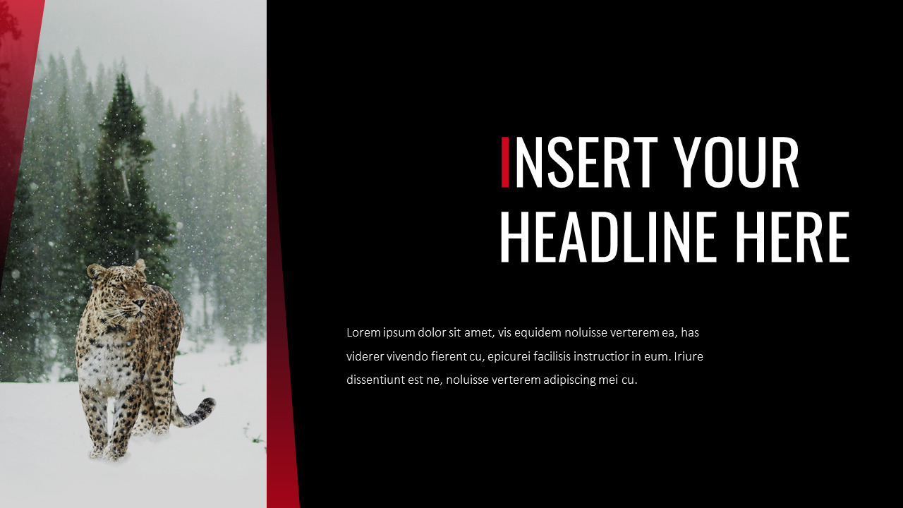 Leopard Simple Presentation Google Slides Template|Lifestyle