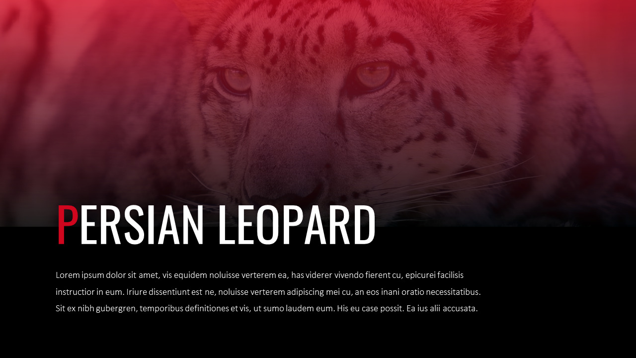Leopard Simple Presentation Google Slides Template|Lifestyle