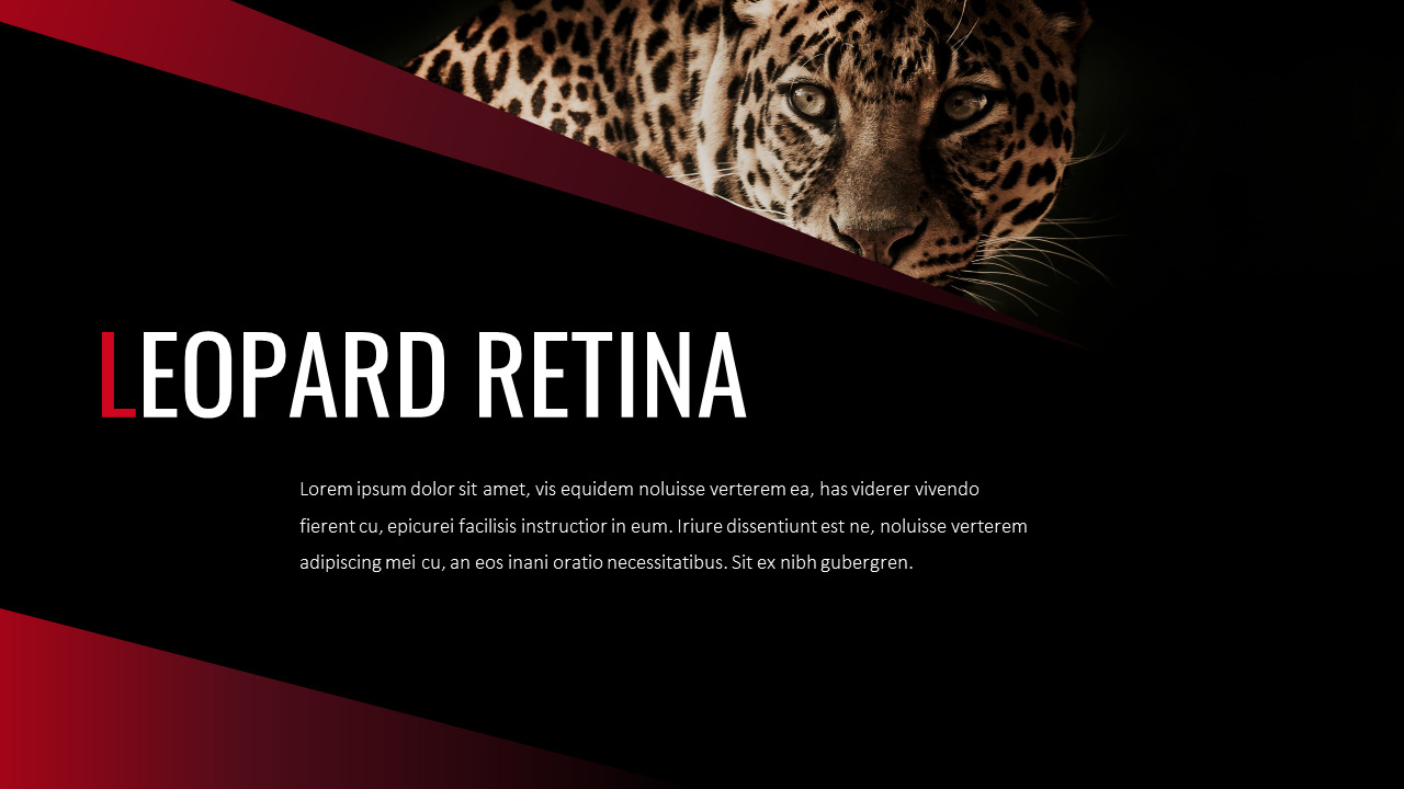 Leopard Simple Presentation Google Slides Template|Lifestyle