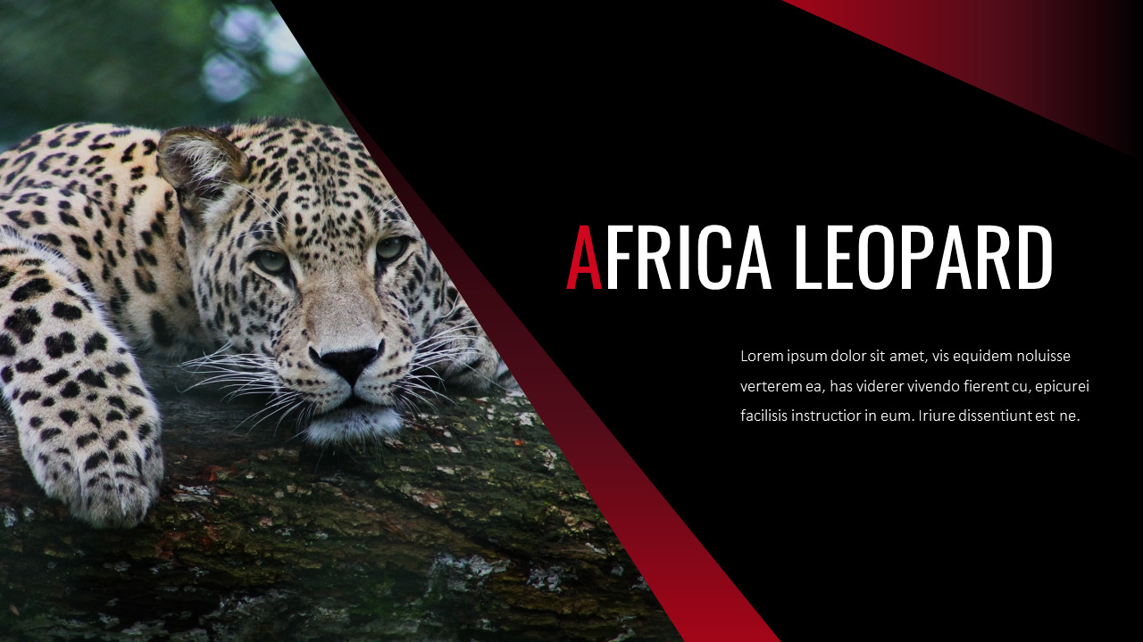 Leopard Simple Presentation Google Slides Template|Lifestyle