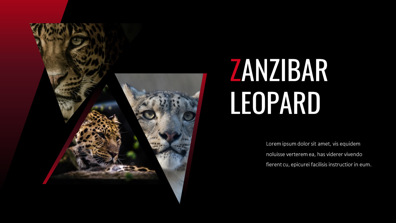 Leopard Simple Presentation Google Slides Template|Lifestyle