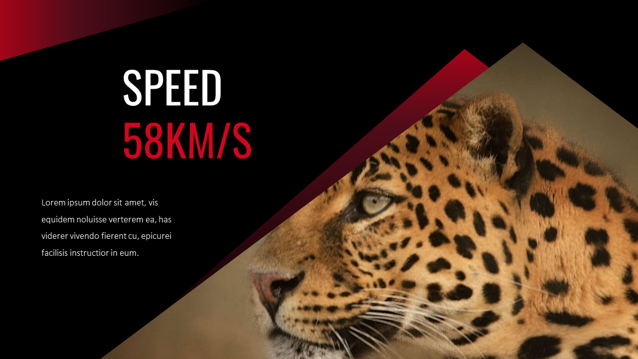 Leopard Simple Presentation Google Slides Template|Lifestyle