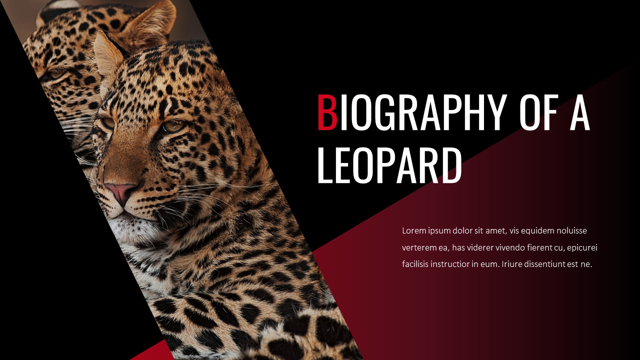 Leopard Simple Presentation Google Slides Template|Lifestyle
