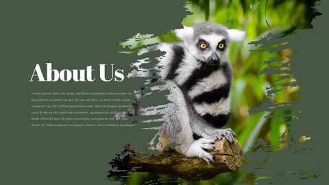 Amazonas PPT-Design|Lebensstil|Vorlagen