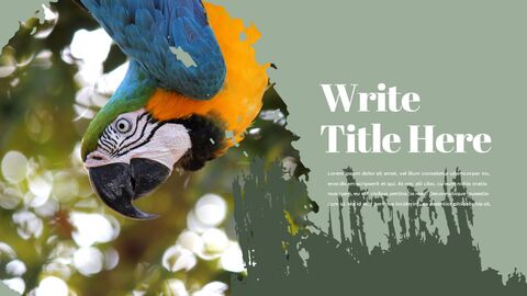 Amazonas PPT-Design|Lebensstil|Vorlagen