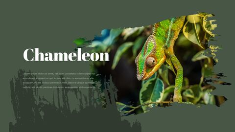Amazonas PPT-Design|Lebensstil|Vorlagen