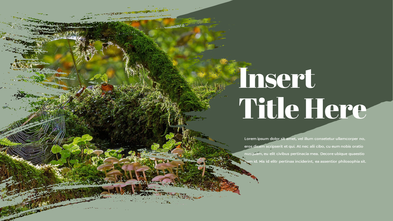 Amazon PPT Design|Lifestyle|Templates