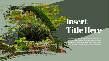 Amazon PPT Design|Lifestyle|Templates