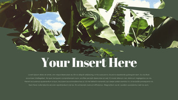 Amazon PPT Design|Lifestyle|Templates