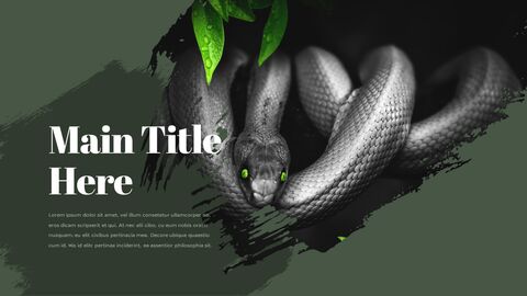 Amazonas PPT-Design|Lebensstil|Vorlagen