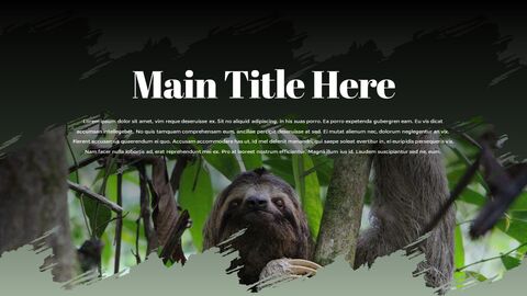 Amazonas PPT-Design|Lebensstil|Vorlagen