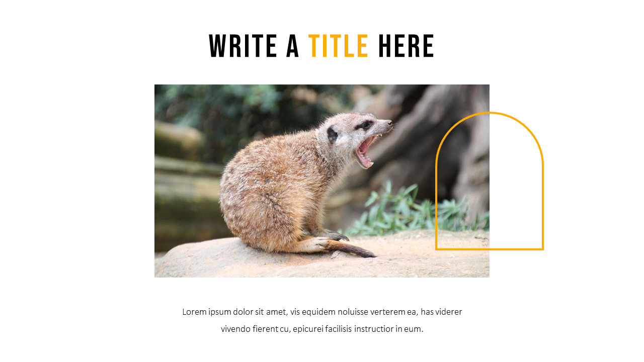 Meerkat slide powerpoint|Lifestyle|Templates