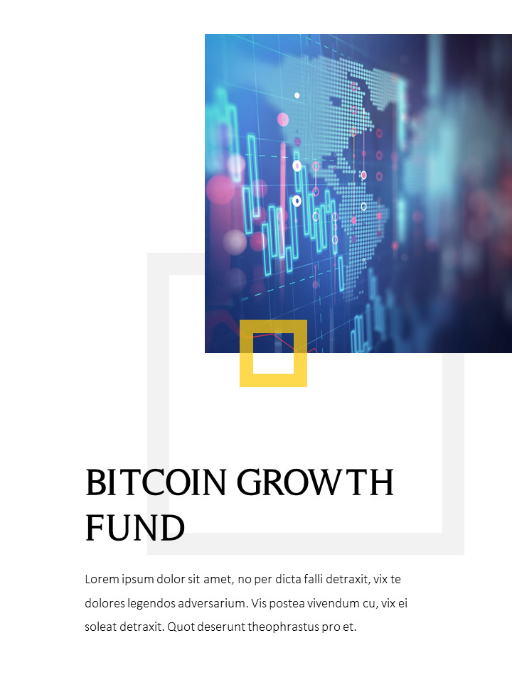 Bitcoin Best PPT Design