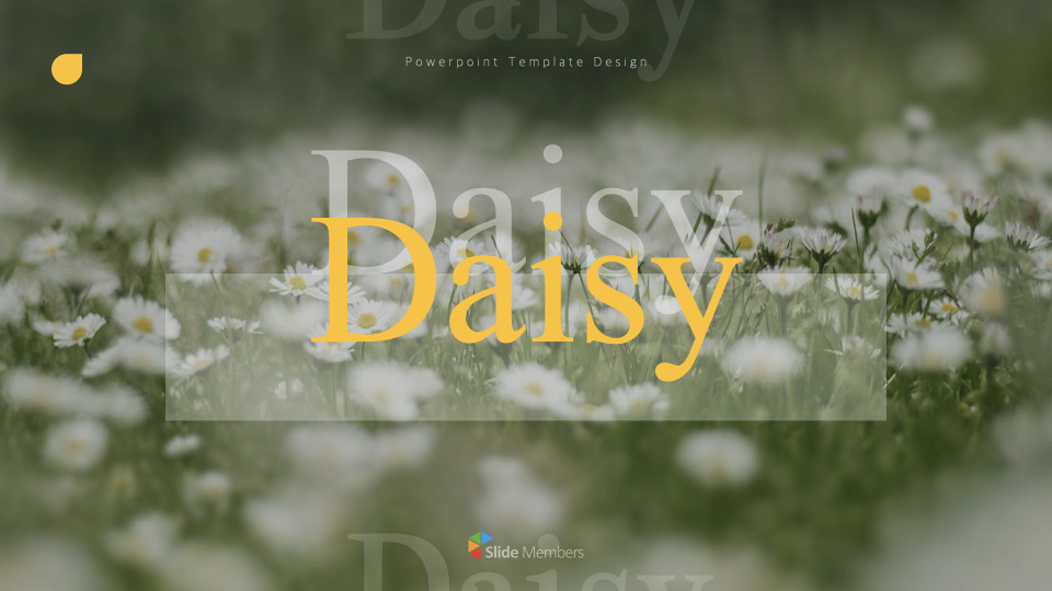 Daisy Keynote Presentation Template|Lifestyle