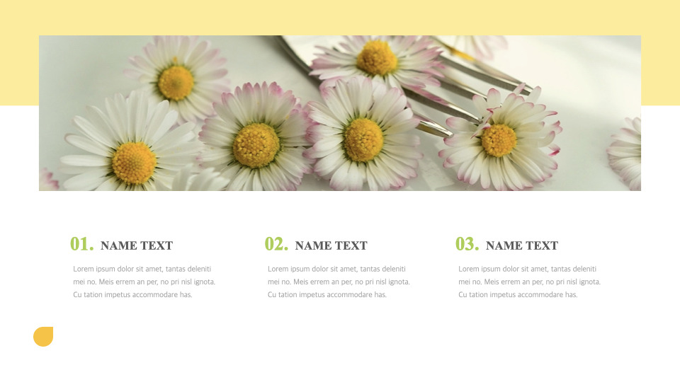 Daisy Keynote Presentation Template|Lifestyle