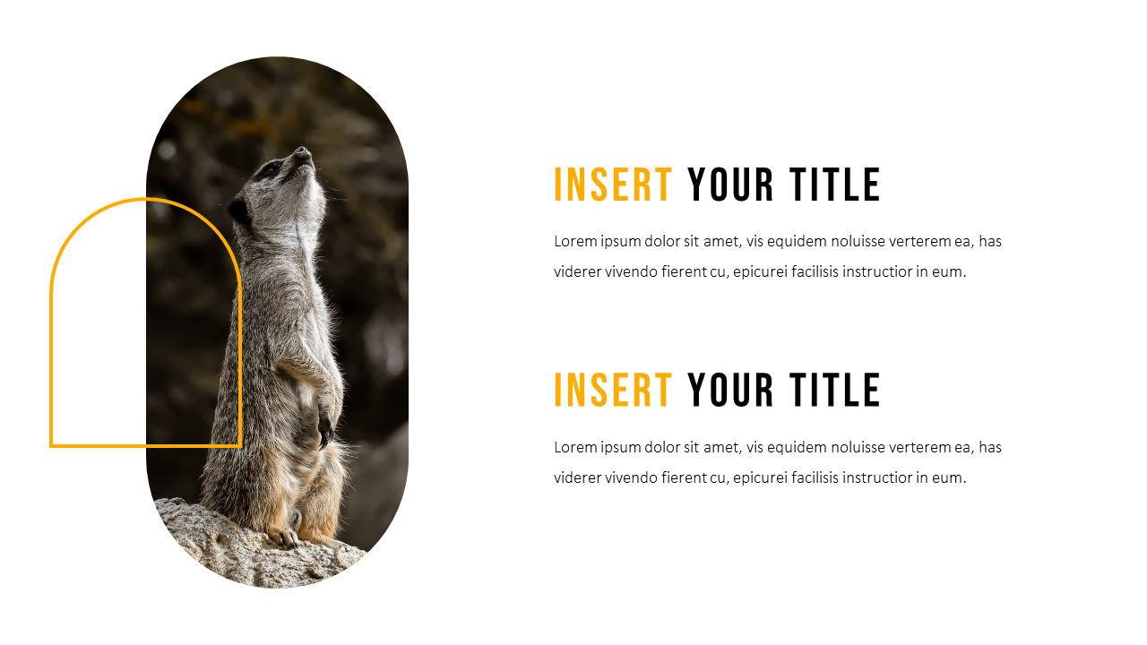 Meerkat slide powerpoint|Lifestyle|Templates
