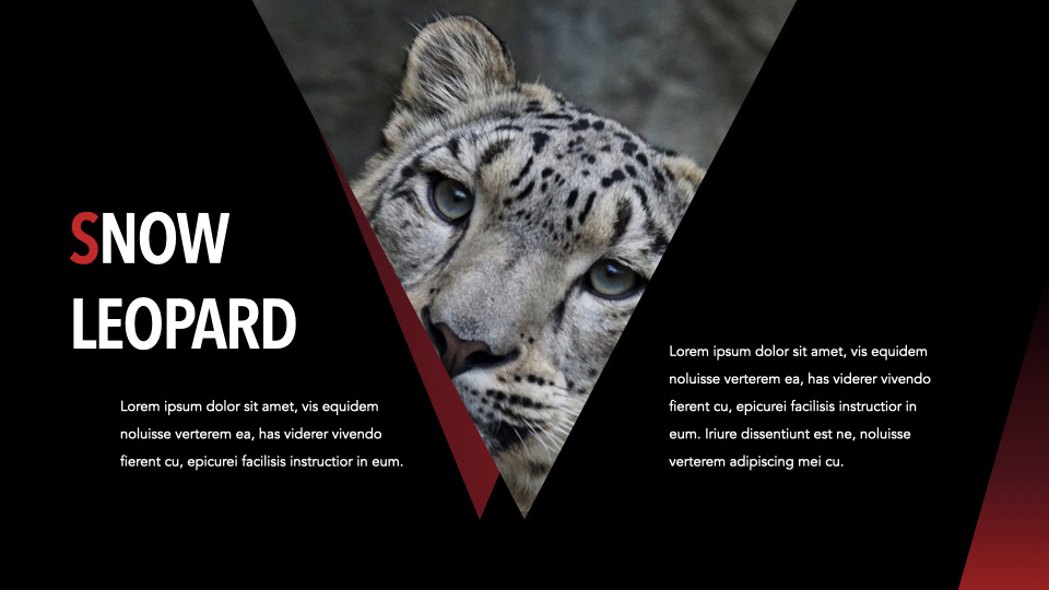 Leopard PPTX to Keynote|Lifestyle