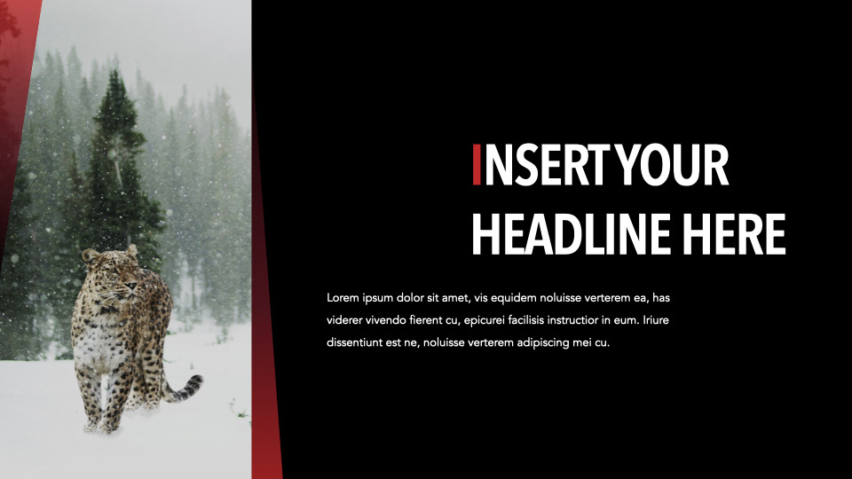 Leopard PPTX to Keynote|Lifestyle