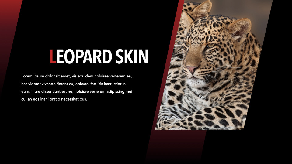 Leopard PPTX to Keynote|Lifestyle