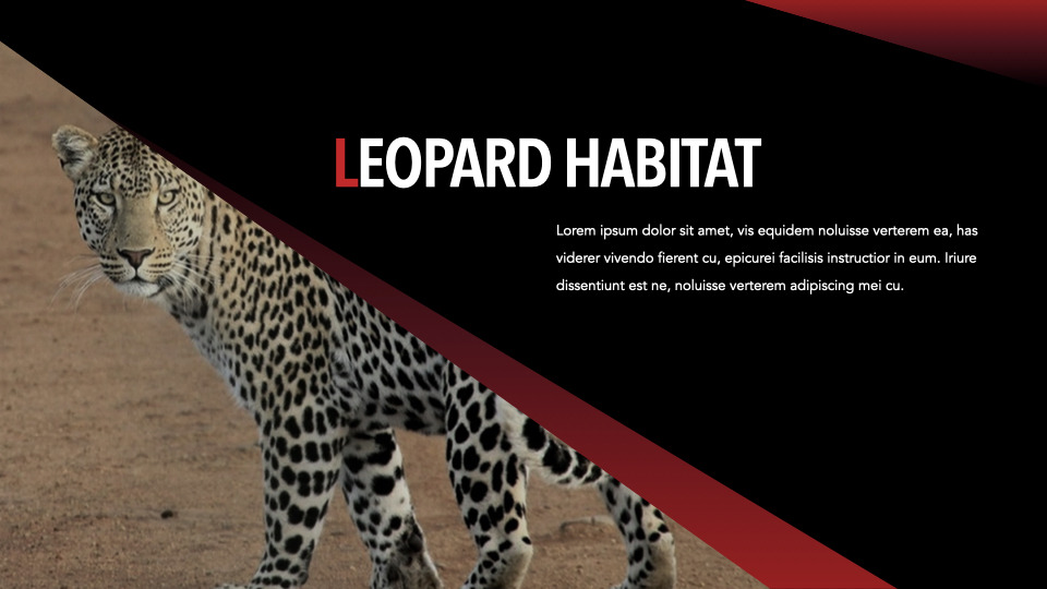 Leopard PPTX to Keynote|Lifestyle