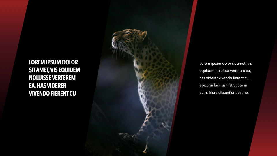 Leopard PPTX to Keynote|Lifestyle