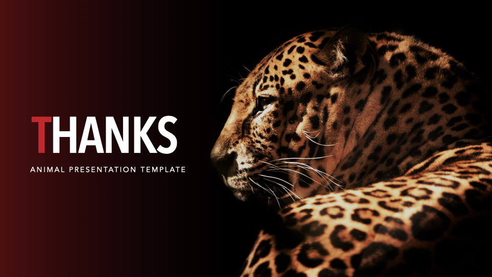 Leopard PPTX to Keynote|Lifestyle