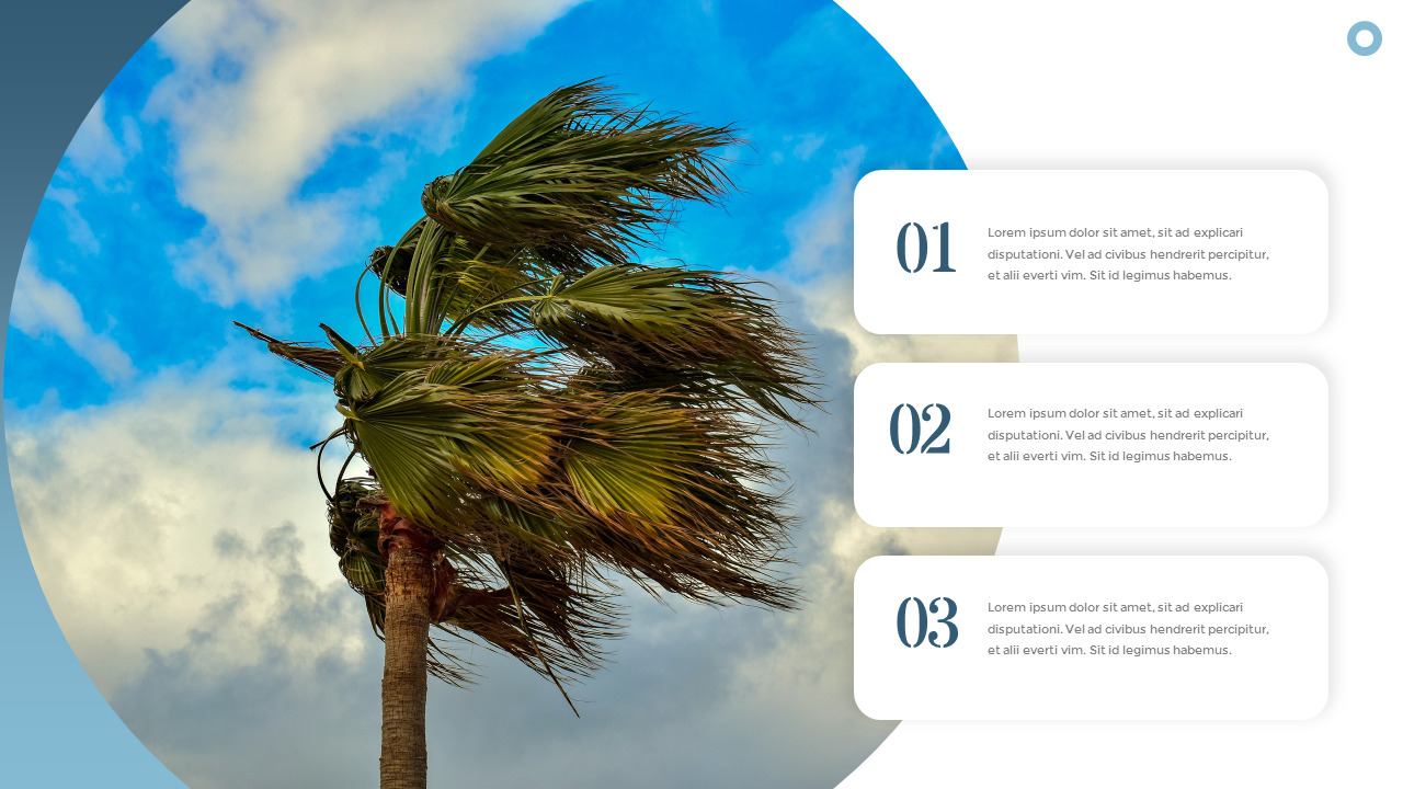 Varied Weather presentation slide design|Nature|Google