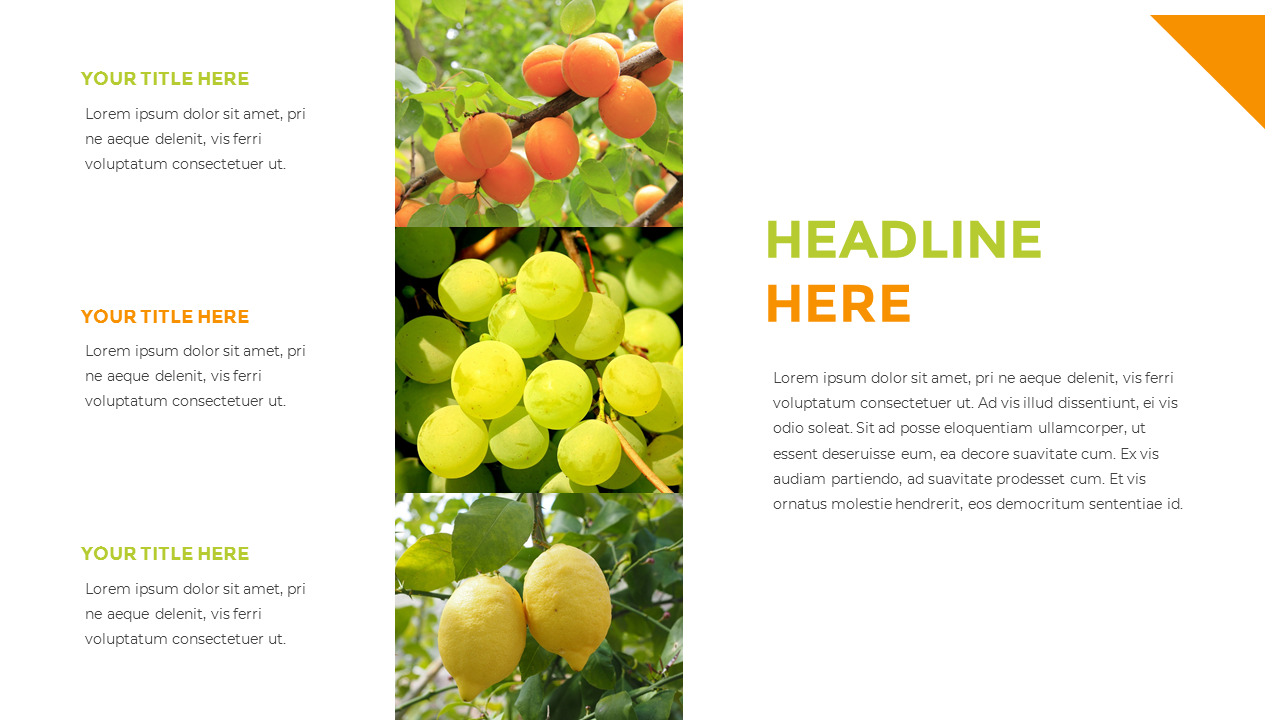 Fresh Fruits Google presentation|Food|Slides