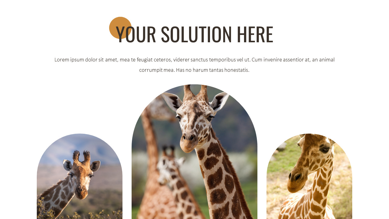 Giraffe Best Google Slides|Animal