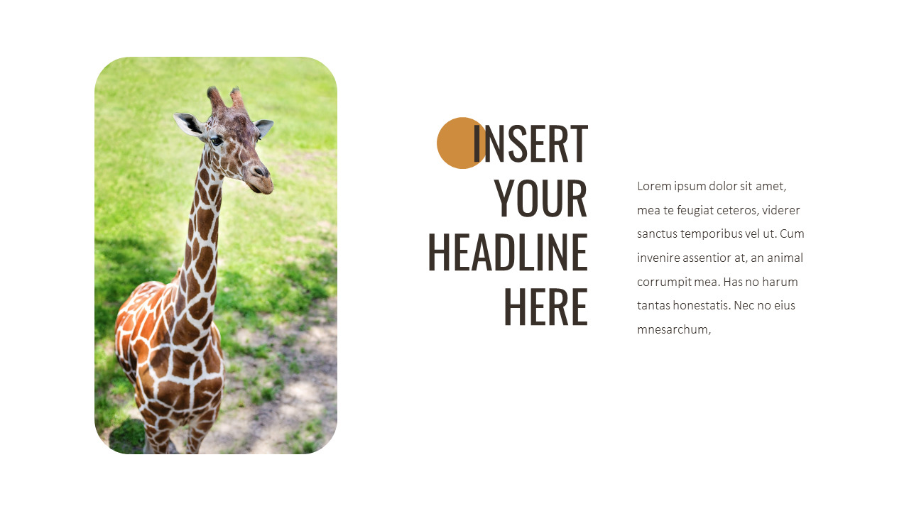 Giraffe Best Google Slides|Animal