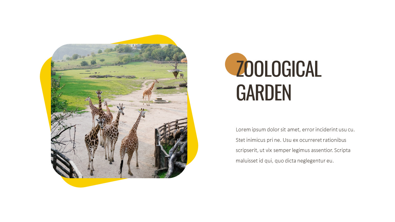 Giraffe Best Google Slides|Animal