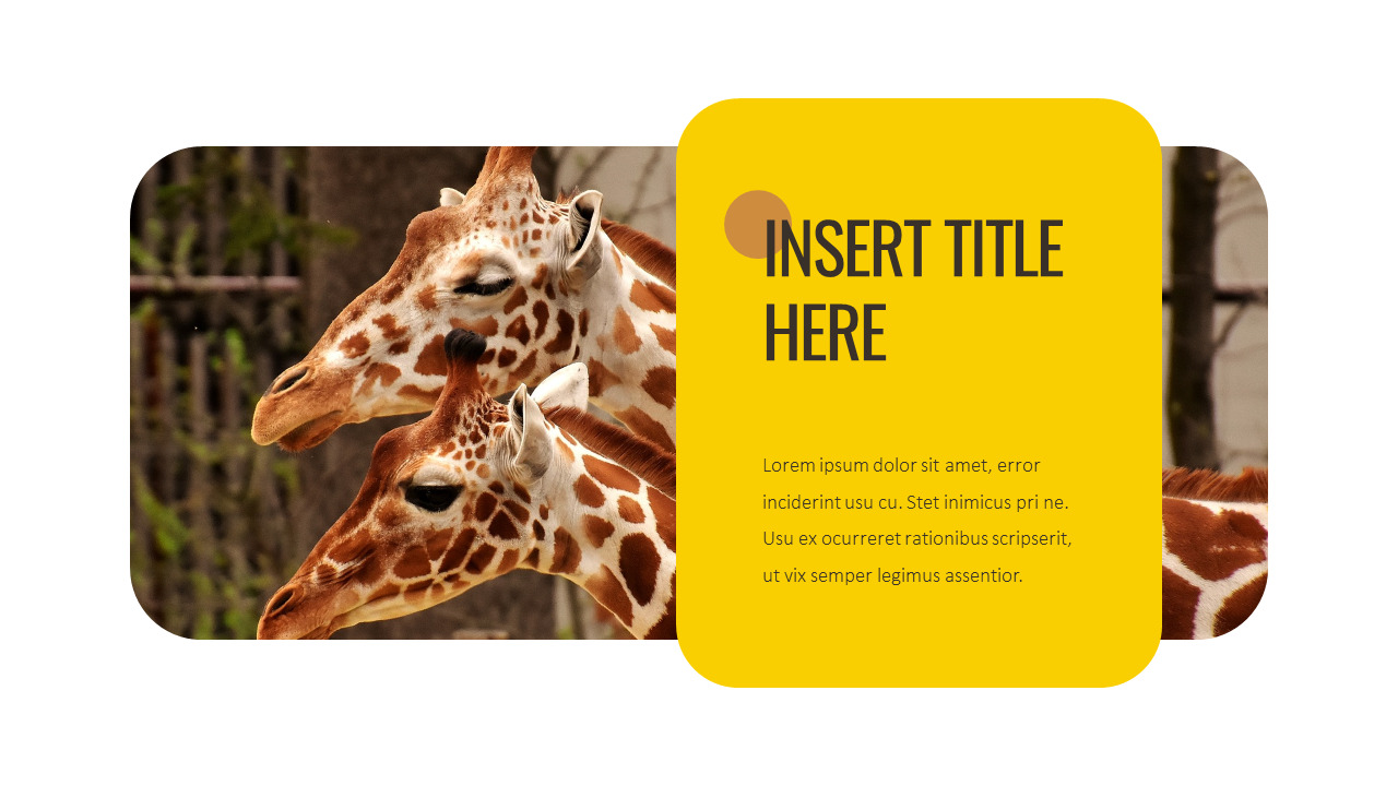 Giraffe Best Google Slides|Animal
