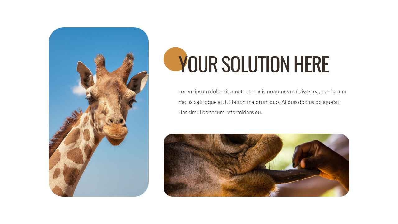 Giraffe Best Google Slides|Animal