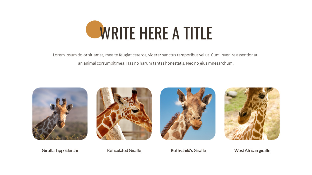 Giraffe Best Google Slides|Animal