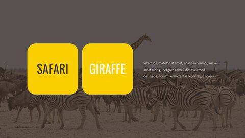 Giraffe Best Google Slides|Animal