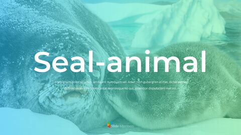 Seal Google Slides Themes & Templates|Animal