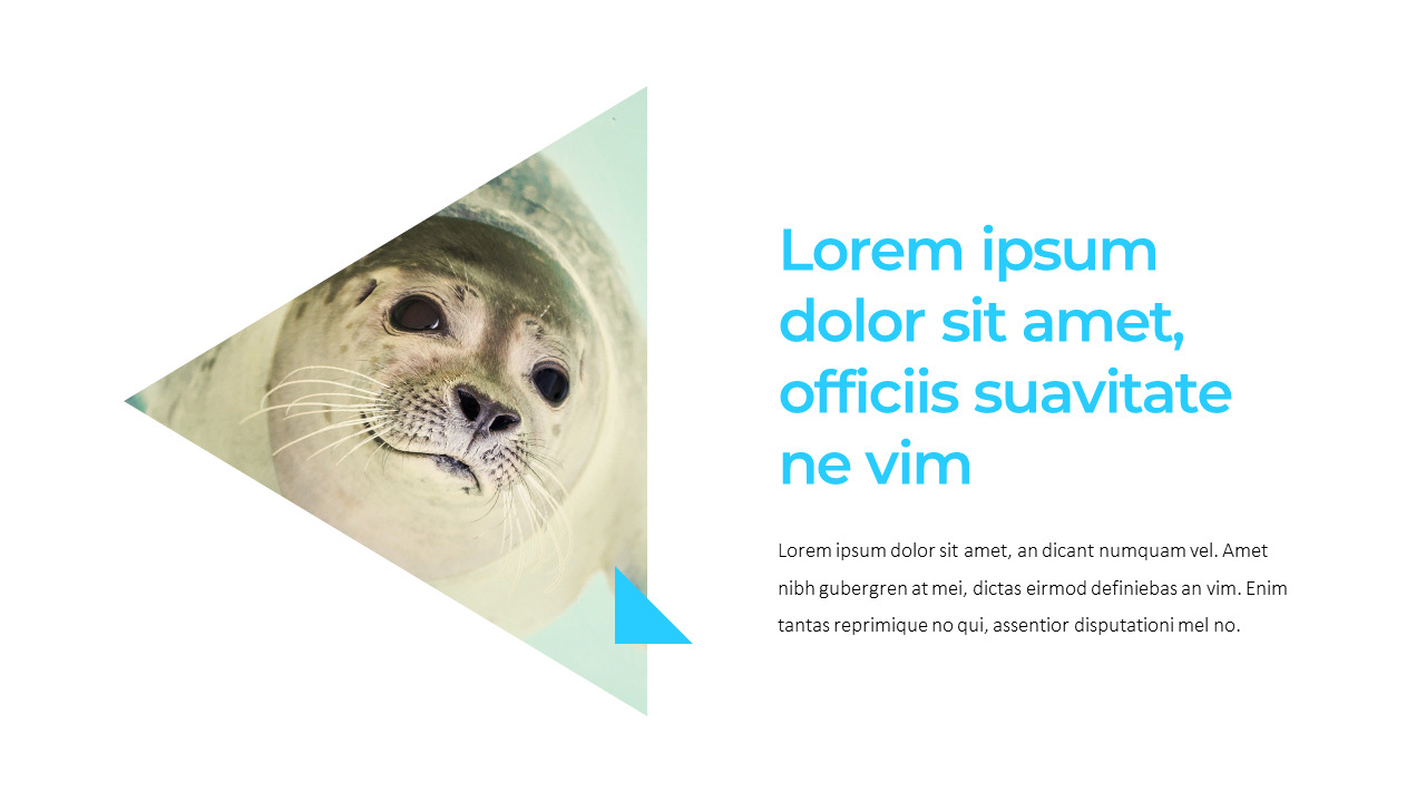 Seal Google Slides Themes & Templates|Animal