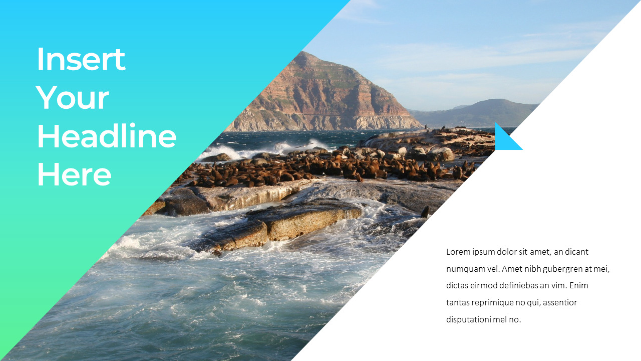 Seal Google Slides Themes & Templates|Animal