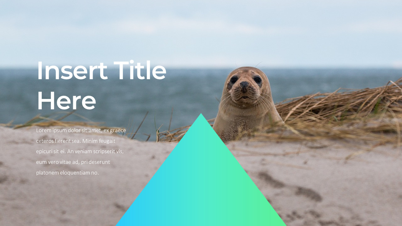 Seal Google Slides Themes & Templates|Animal