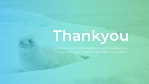 Seal Google Slides Themes & Templates|Animal